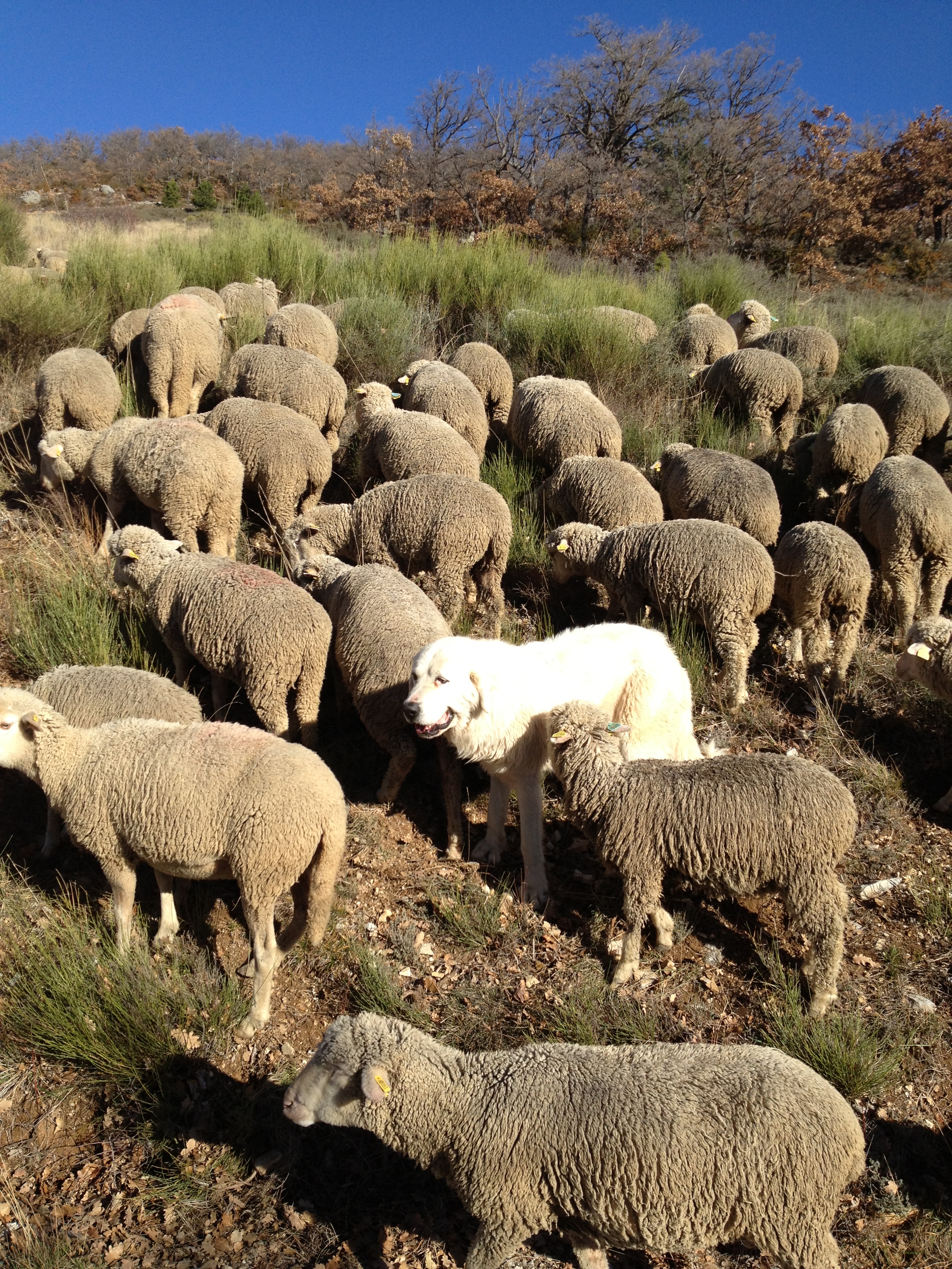 Chez Mirabel | A Maison in Provence